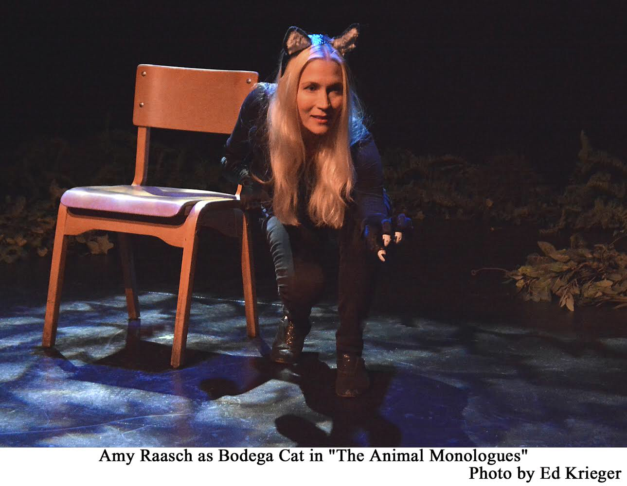 THE ANIMAL MONOLOGUES – All About the Stage